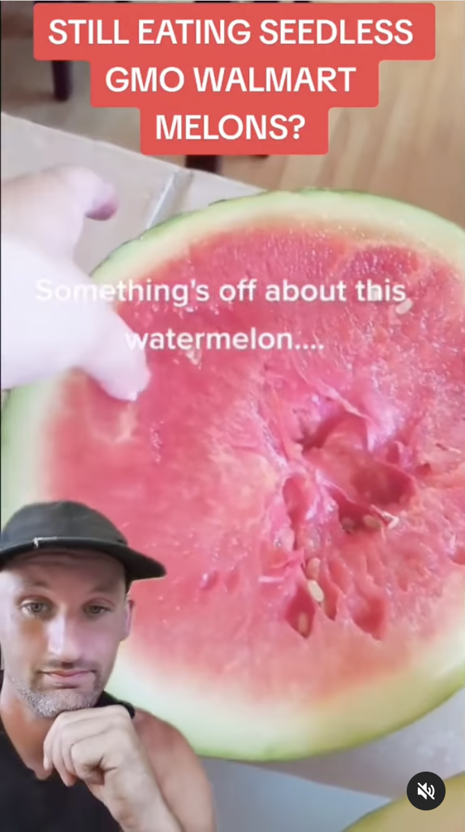 Fact Check: Seedless Watermelons Are NOT 'GMO' Or Unsafe To Eat | Lead ...