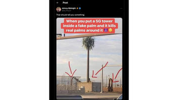 Fact Check: Photo Of Dead Palm Trees Does NOT Prove They Were Killed By ...