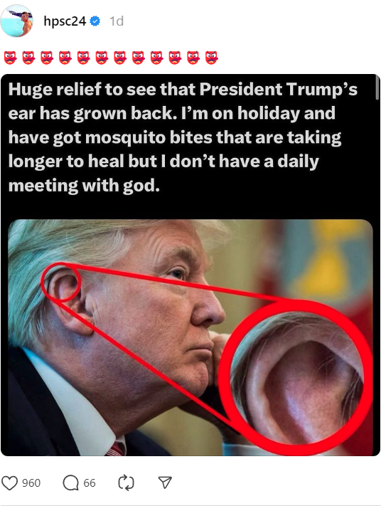 Fact Check: Photo Does NOT Show Undamaged Ear In Immediate Weeks After ...