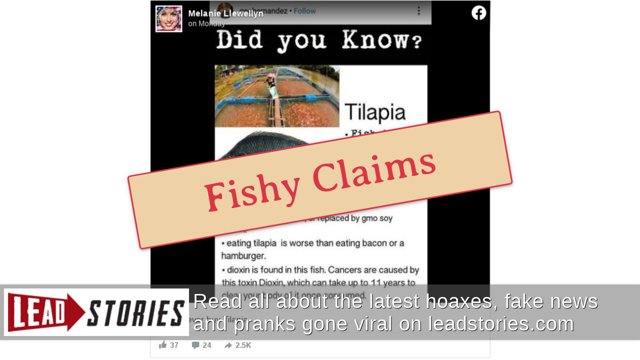 Fact Check: Tilapia Is NOT Boneless, Is Not Inherently Bad For You ...