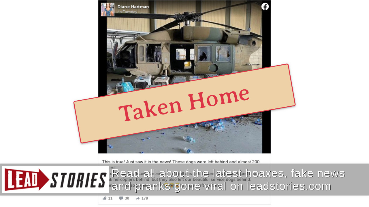 Fact Check: U.S. Did NOT Leave Behind Military Working Dogs In Cages In ...