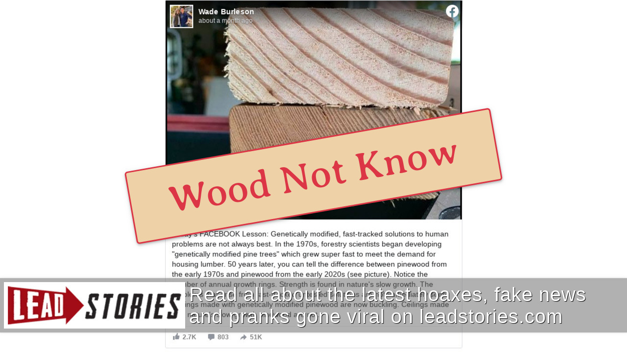 Fact Check: Photo Purportedly Showing Pinewood From Early '70s Vs ...