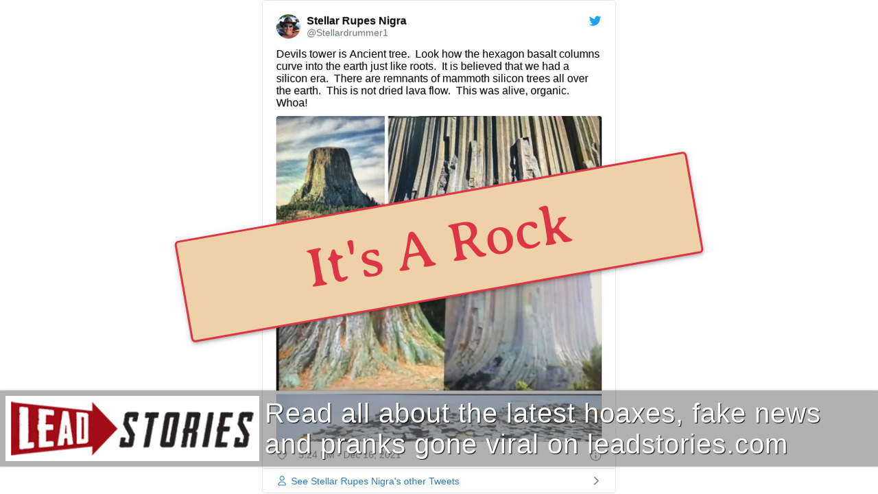 Fact Check: Devils Tower Is NOT A Giant Silicon Tree Trunk -- It's A ...