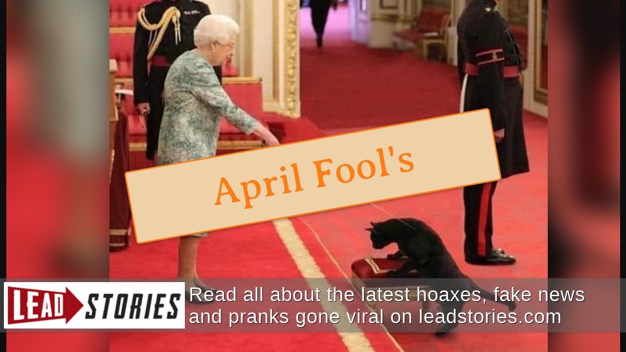 Fact Check: Ruben The Cat Was NOT Knighted By Queen Elizabeth II ...