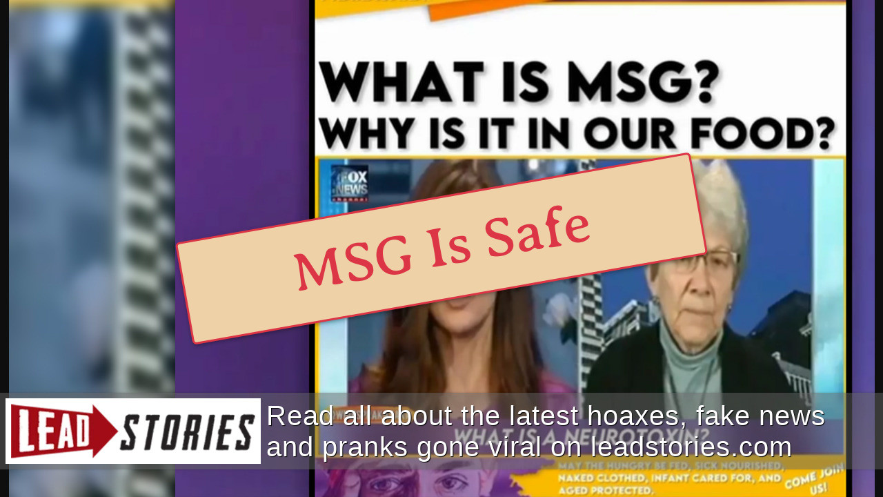 Fact Check: MSG In Typical Human Diet Does NOT Pose A Neurotoxic Danger ...