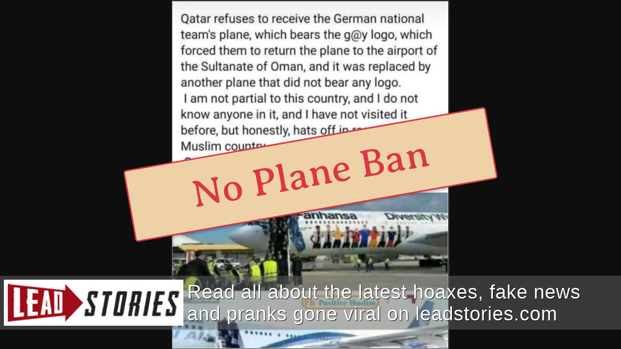 Fact Check: World Cup German National Team's Plane NOT Banned From ...