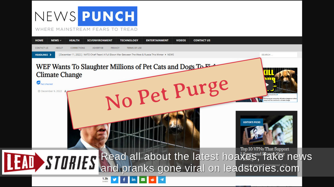 Fact Check: WEF Is NOT Calling For Slaughter Of Millions Of Pet Cats ...