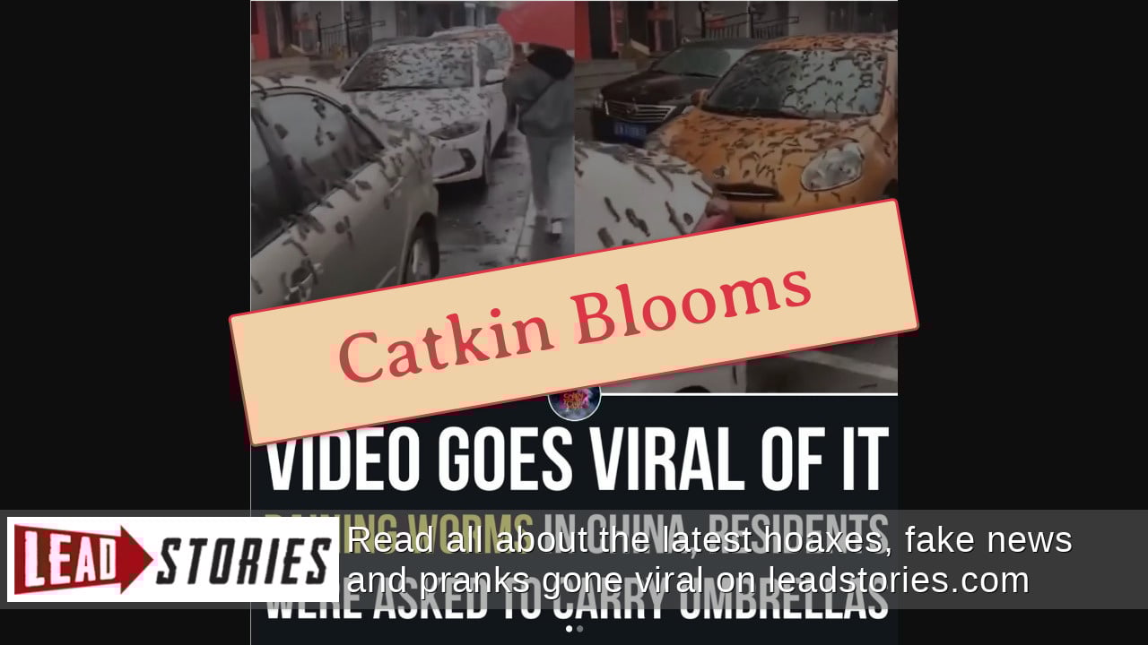 Fact Check: Video Does NOT Prove Worms Fell From The Sky In China ...