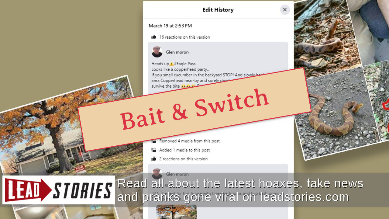 Fact Check: Many Posts About Copperhead Snakes Smelling Like Cucumbers Are Part Of Bait And ...