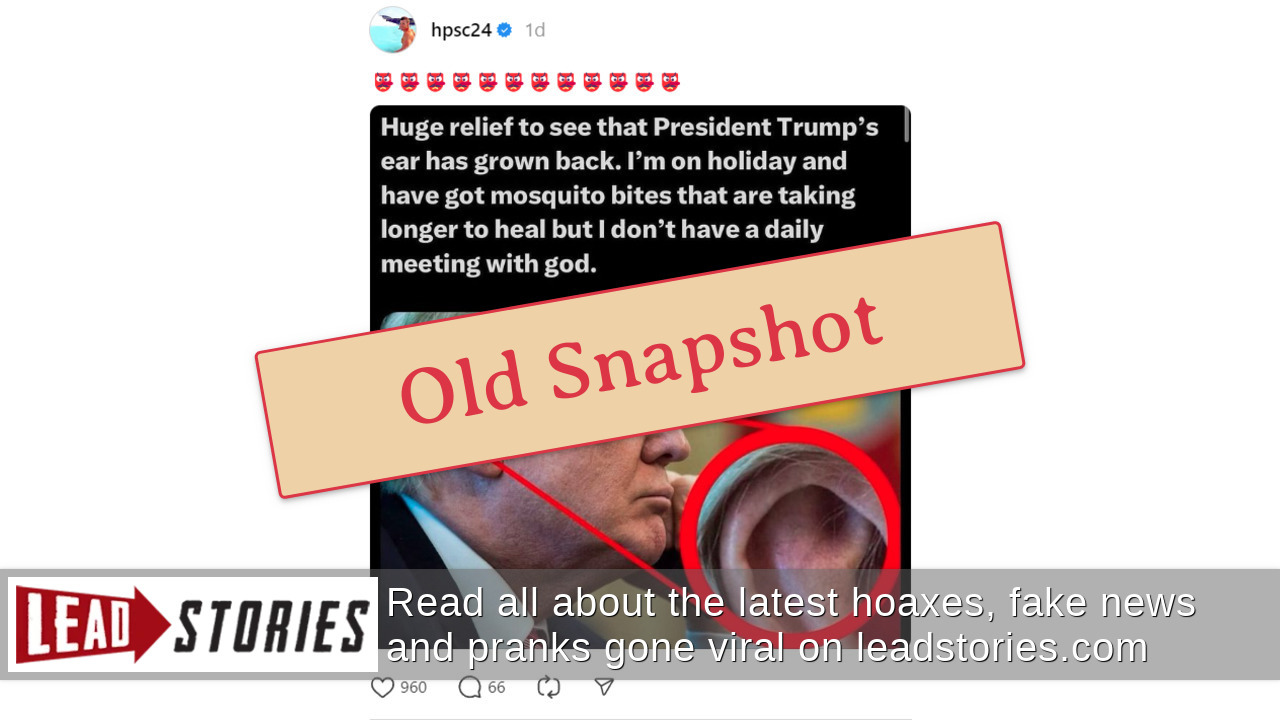 Fact Check: Photo Does NOT Show Undamaged Ear In Immediate Weeks After ...