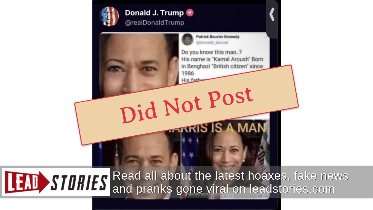 Fact Check: Trump Did NOT Post Online Conspiracy Theory That Kamala Harris Is A Man -- Post NOT ...