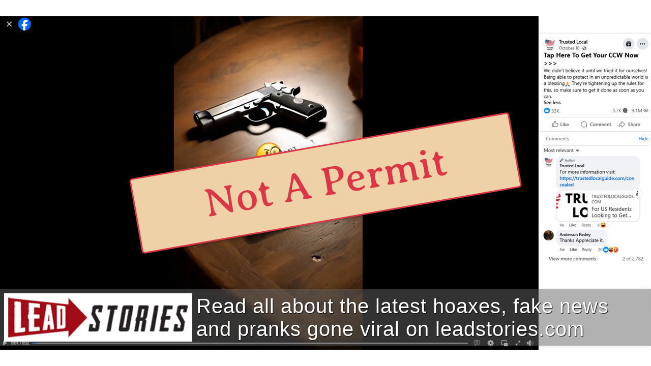 Fact Check: Website Offering Concealed Carry Gun Permit '100% Online ...
