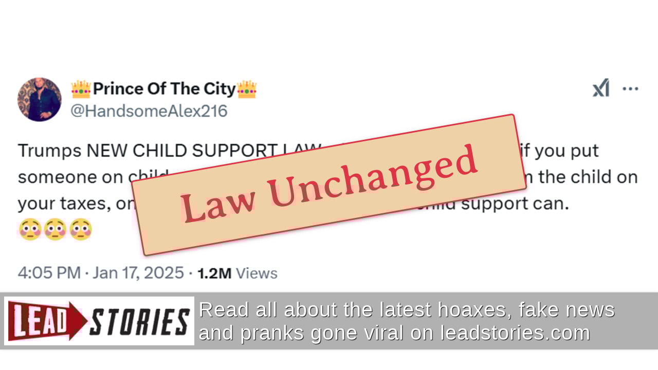 Fact Check: Trump Did NOT Propose Barring Child Support Recipients From ...