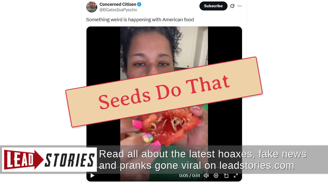 Fact Check: Stringy Strands In Ripe Tomatoes Do NOT Portend That ...