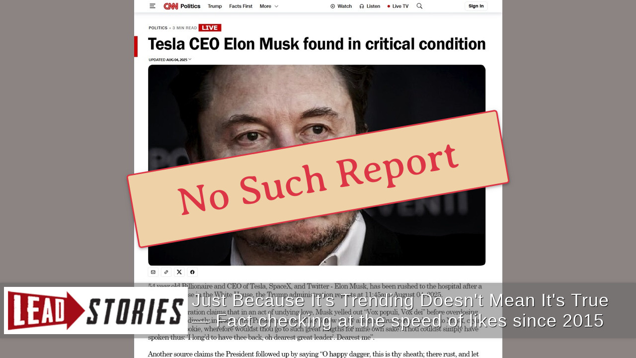 Fact Check: FAKE Screenshot About Musk Being In Critical Condition Did ...