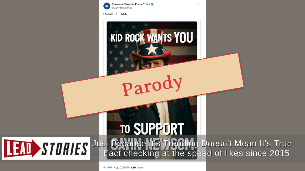 Fact Check: Satirical Poster Saying Kid Rock Wants You To Vote For ...