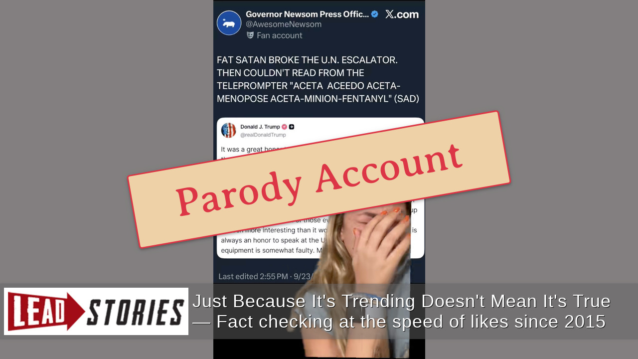 Fact Check: Gavin Newsom's Press Office Did NOT Write About Trump 'Fat ...