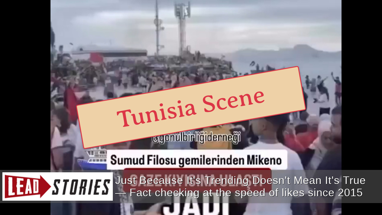 Fact Check: Video Does NOT Show Arrival Of Samud Flotilla In Gaza ...