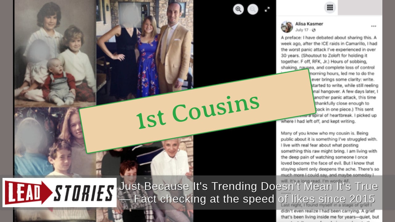 Fact Check: Alisa Kasmer, Whose Facebook Post Says She's 'Grieving ...