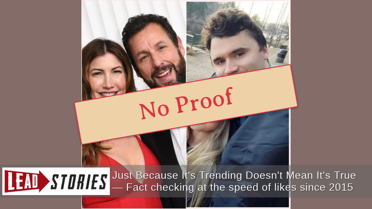 Fact Check: Adam Sandler Has NOT Been Announced As The Headliner Of The ...