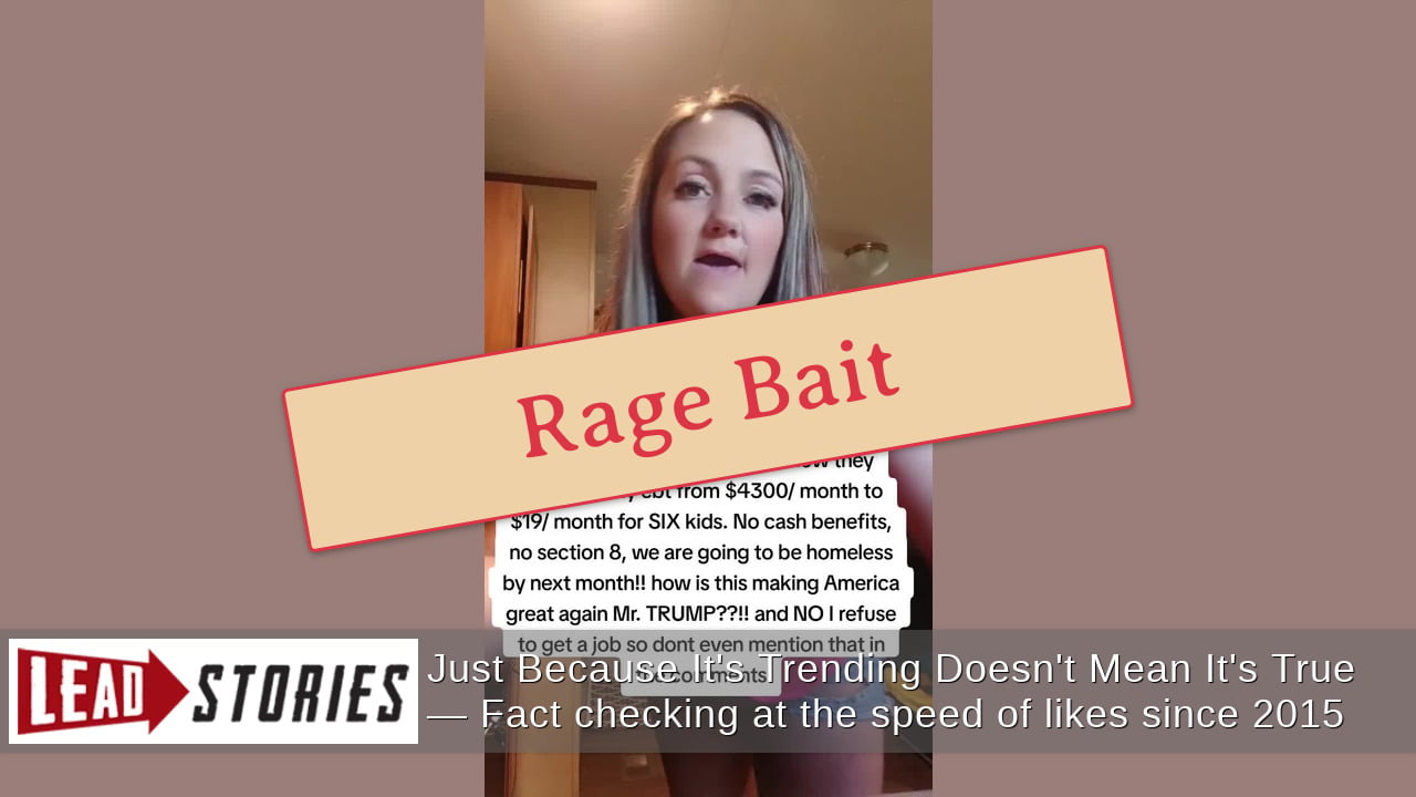 Fact Check: Video Does NOT Show Mother Of Six Whose Food Stamps And ...