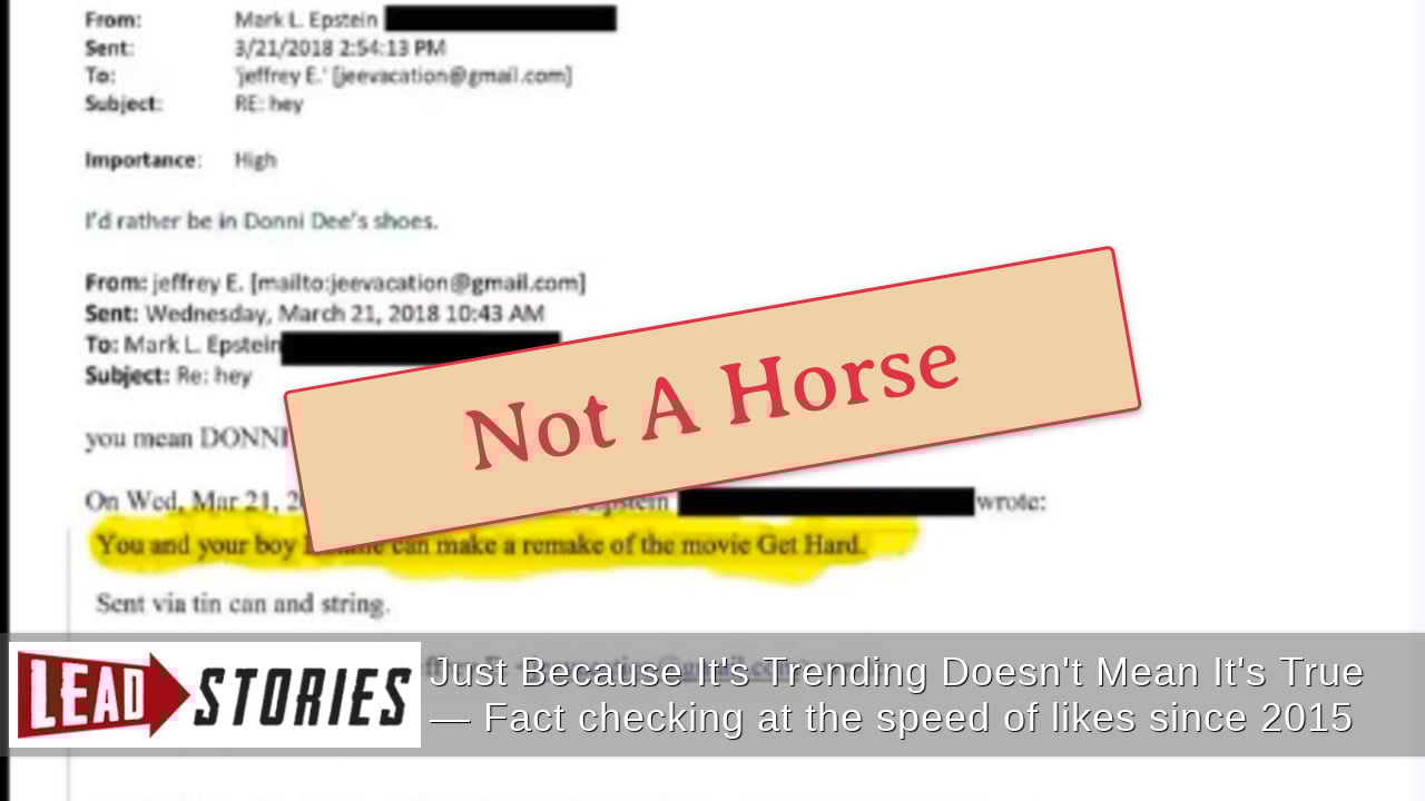 Fact Check: 'Bubba' Reference In Mark Epstein Email To Brother Jeffrey ...