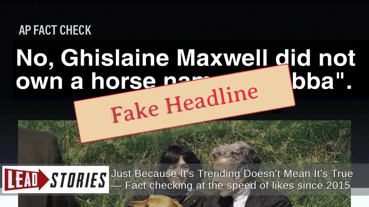 Fact Check: Fake AP Screenshot About Ghislaine Maxwell's Golden Retriever And Horse Bubba -- No ...