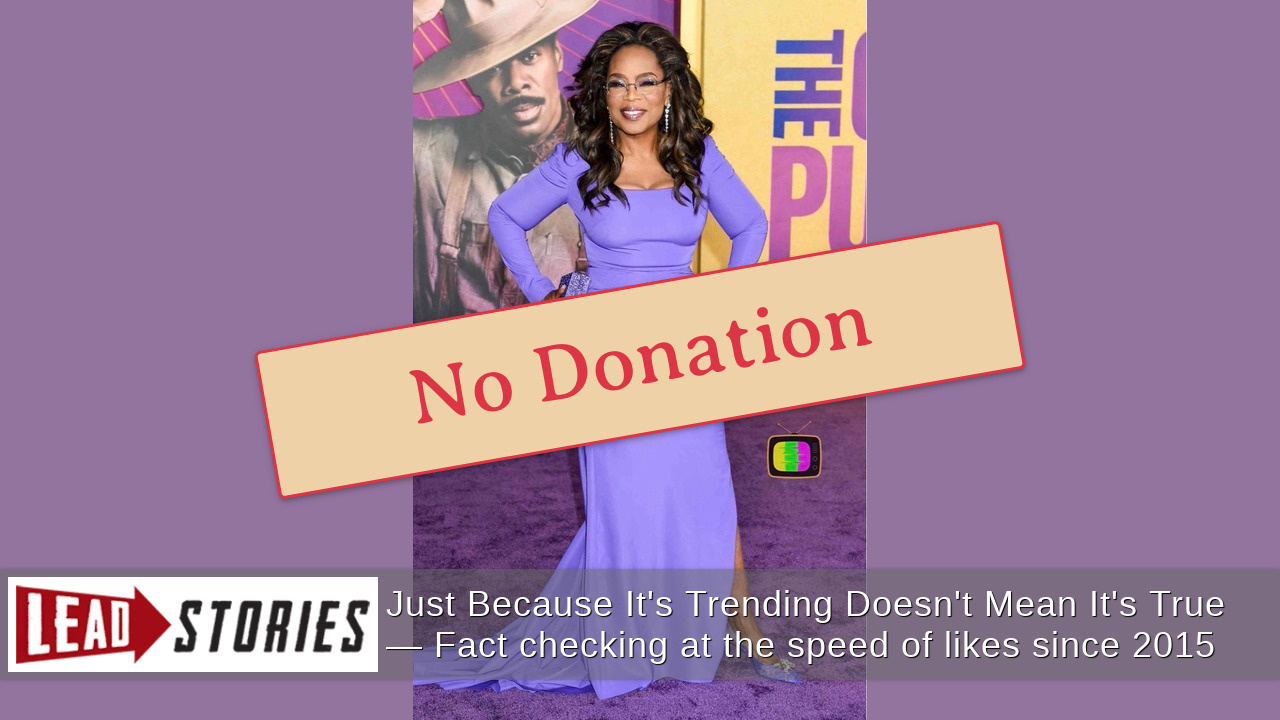 Fact Check: Oprah Winfrey Did NOT Give $1 Million To Chicago Mom Who ...