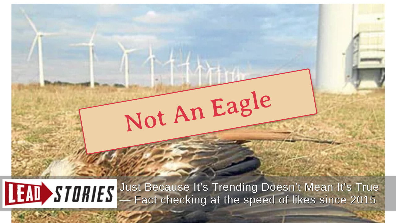Fact Check: Photo Shared By President Trump In 'Eagles Going Down' Post ...