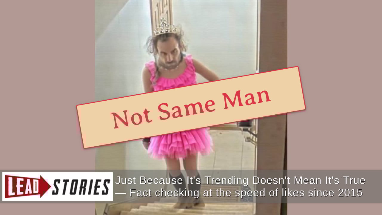 Fact Check: Photo Of Man In Pink Dress And Crown Is NOT Alex Pretti ...