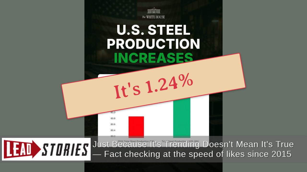 Fact Check: White House Chart On 2025 Steel Production Increase Does ...