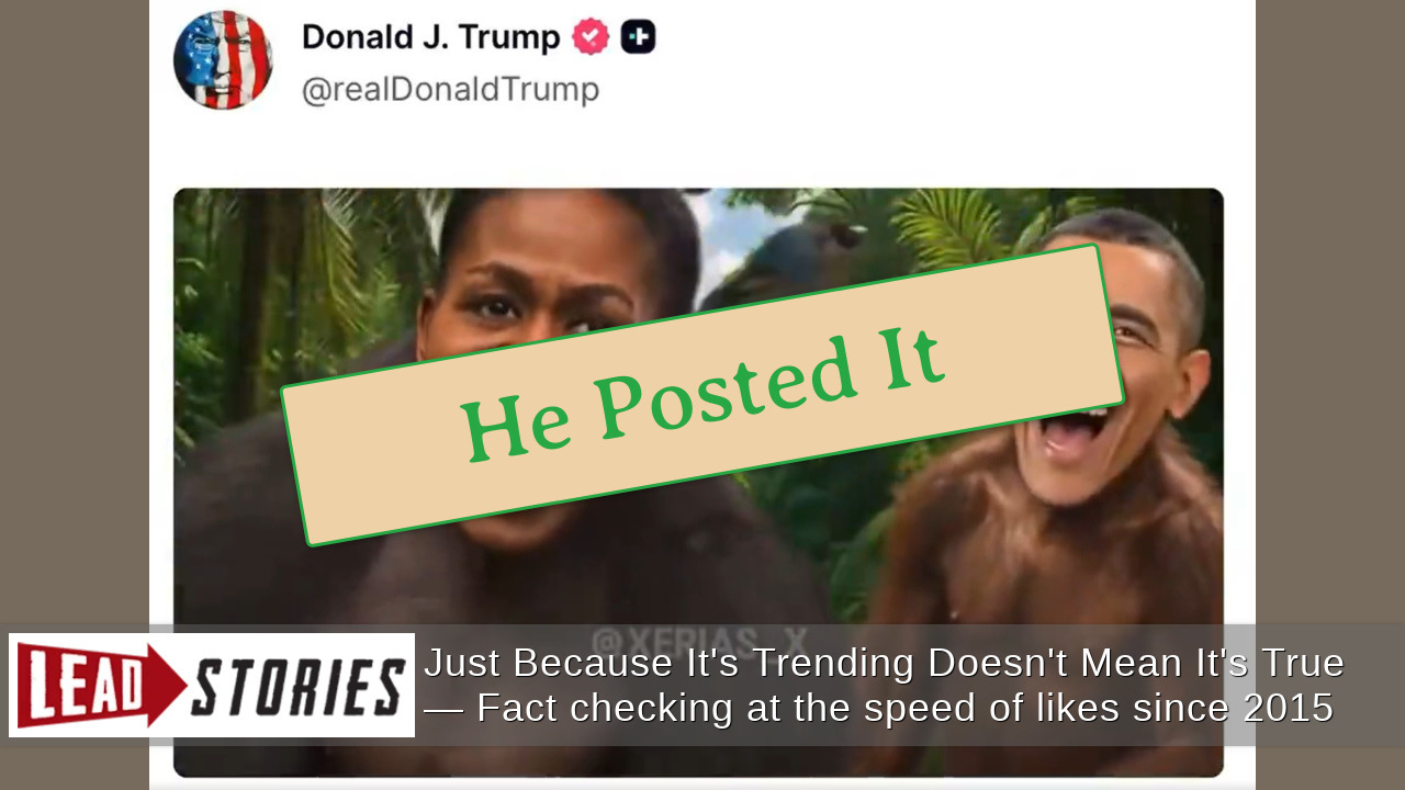 Fact Check: Donald Trump DID Post A Video Including A Clip Portraying ...