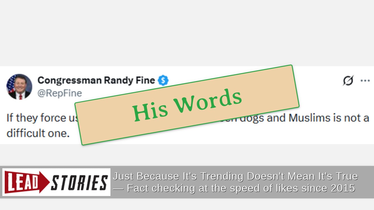Fact Check: Rep. Randy Fine DID Say On X That 'The Choice Between Dogs ...