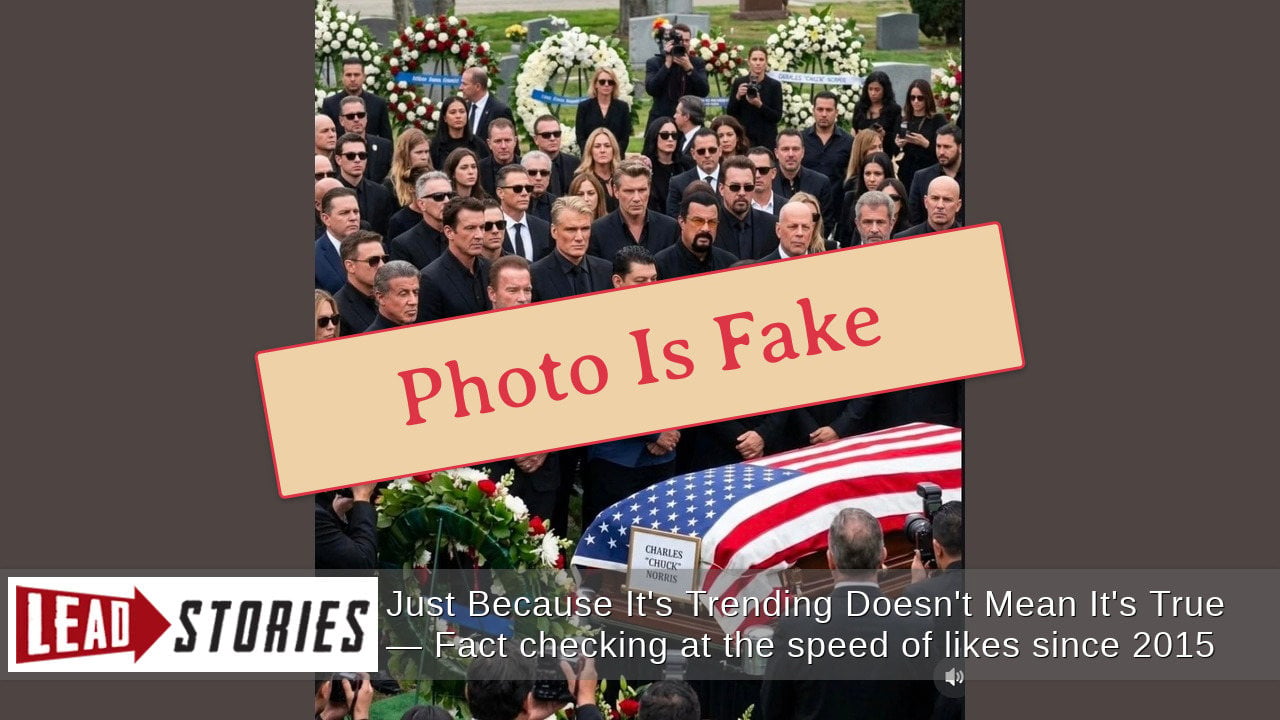 Fact Check: FAKE Photo Shows Hollywood Actors, Including Stallone and ...