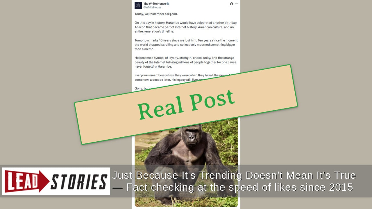 Fact Check: The White House DID Publish A Post Commemorating The Tenth ...