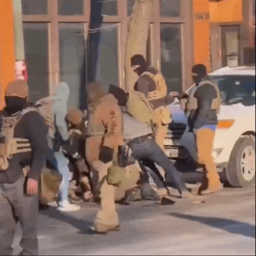 Fact Check: Video Of Alex Pretti's Gun Misfiring In ICE Agent's Hand Is ...